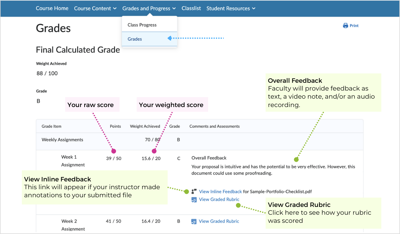 Viewing and Understanding Your Grades