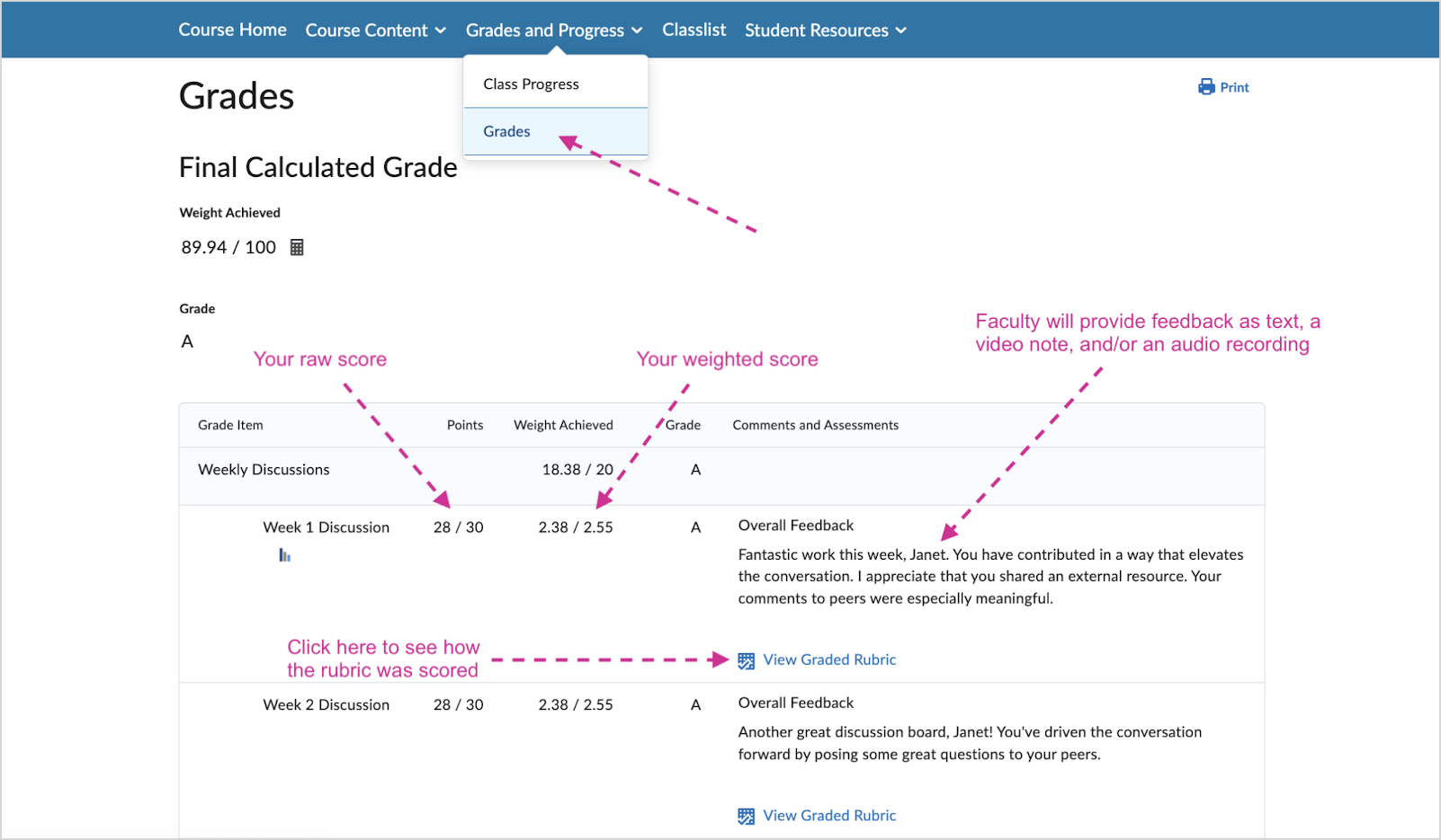 Viewing and Understanding Your Grades